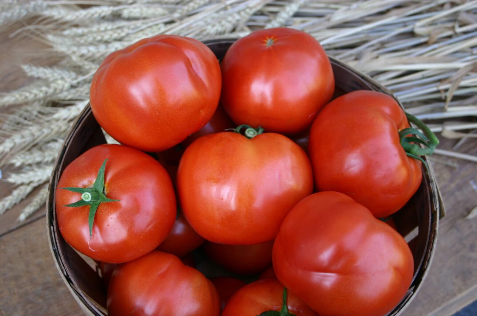 Amelia Tomato (Pelleted) | Seedway