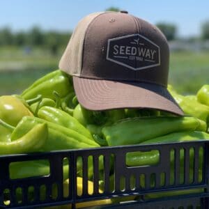 Aruba Sweet Pepper (Treated Seed) | Seedway