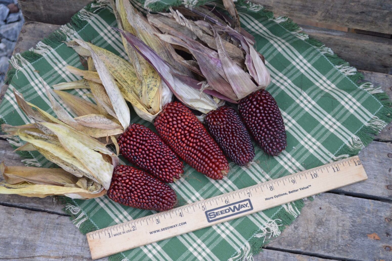 Cherry Berry Popcorn (Not Treated) | Seedway