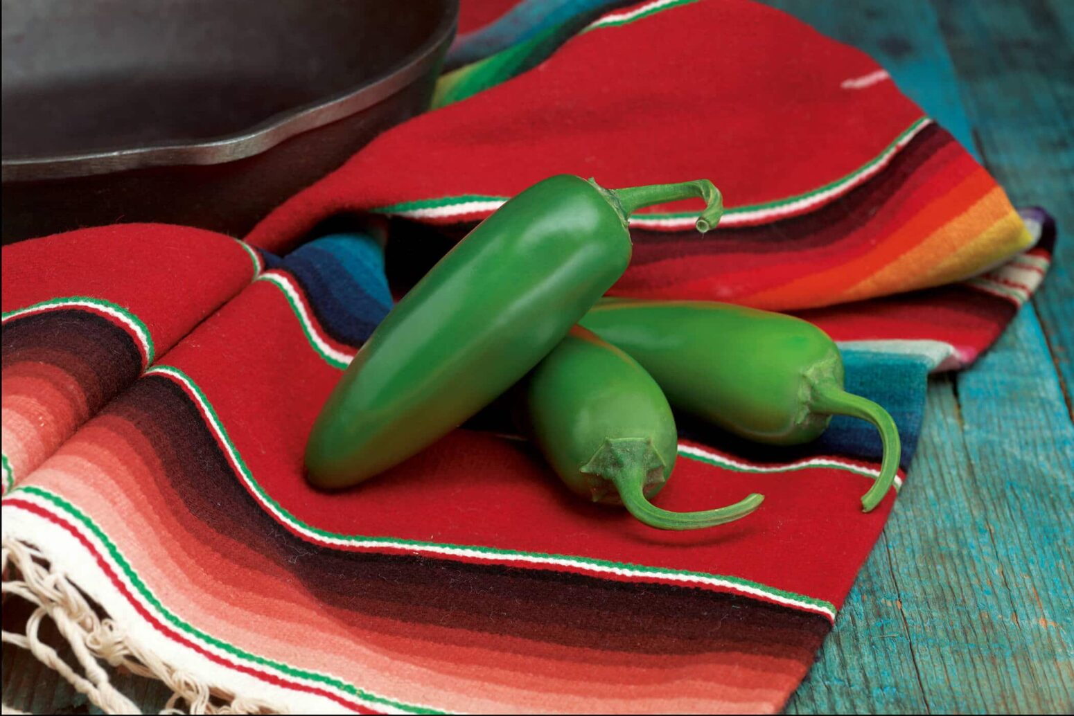 Compadre Jalapeno Pepper (Treated Seed) | Seedway