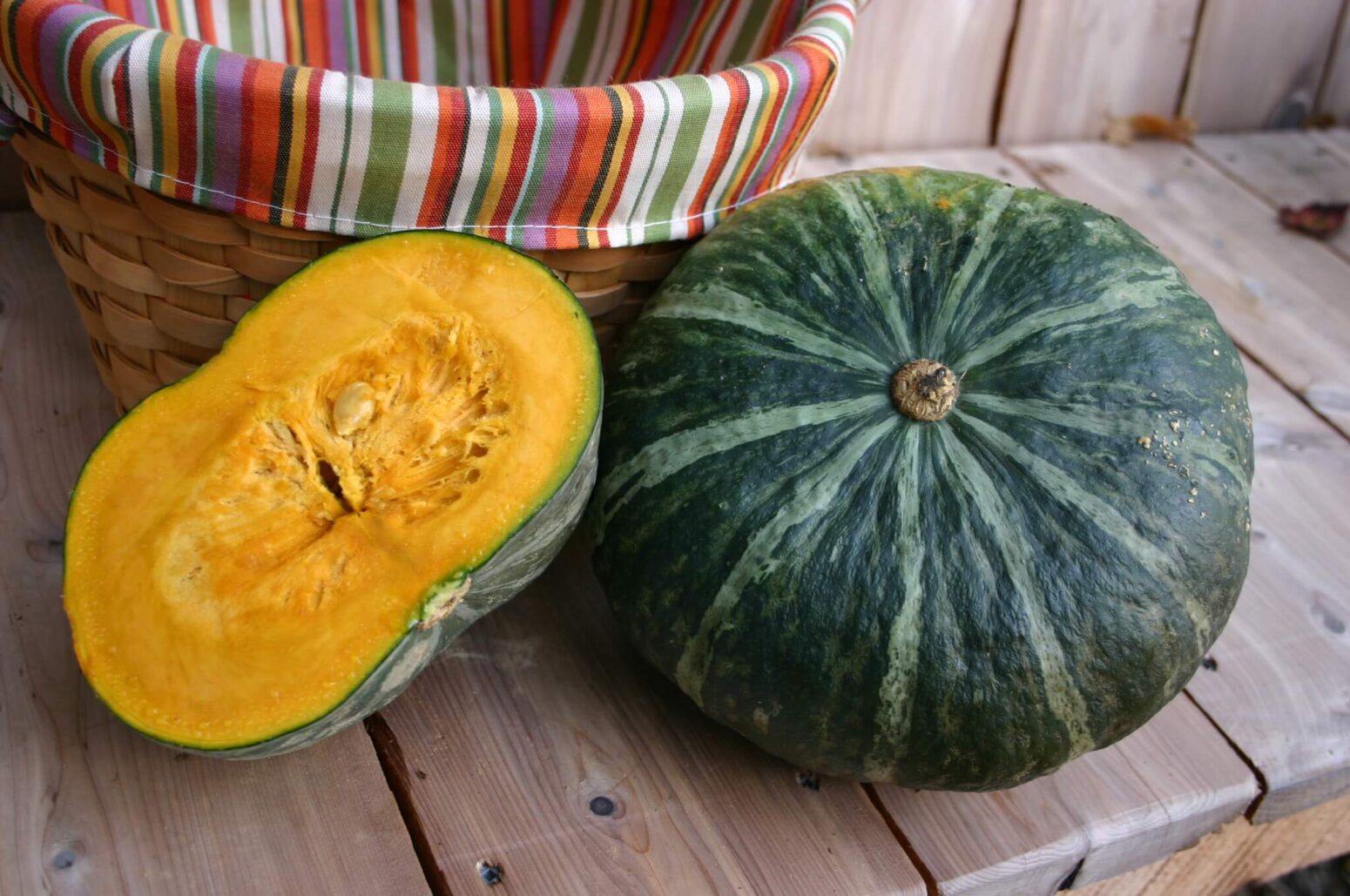 Delica Squash (Treated Seed) | Seedway