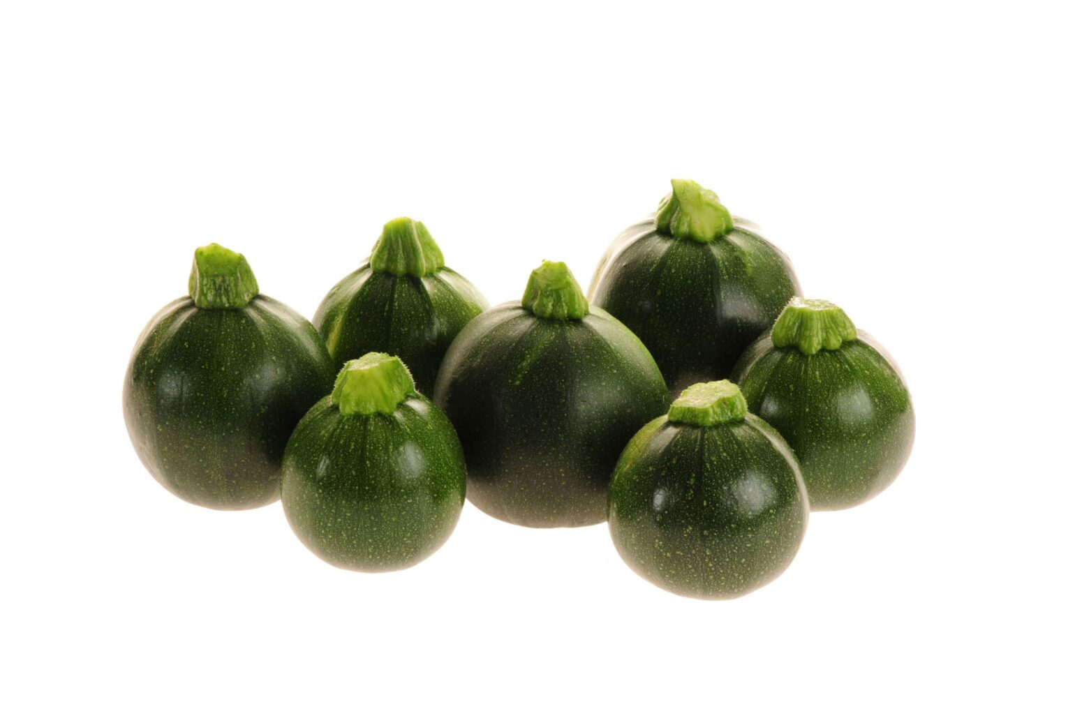 Eight Ball Sqaush (Treated Seed) | Seedway