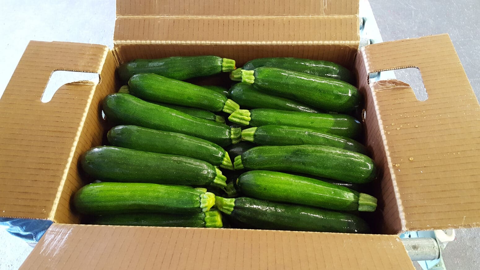 Green Machine Zucchini (Farmore) | Seedway