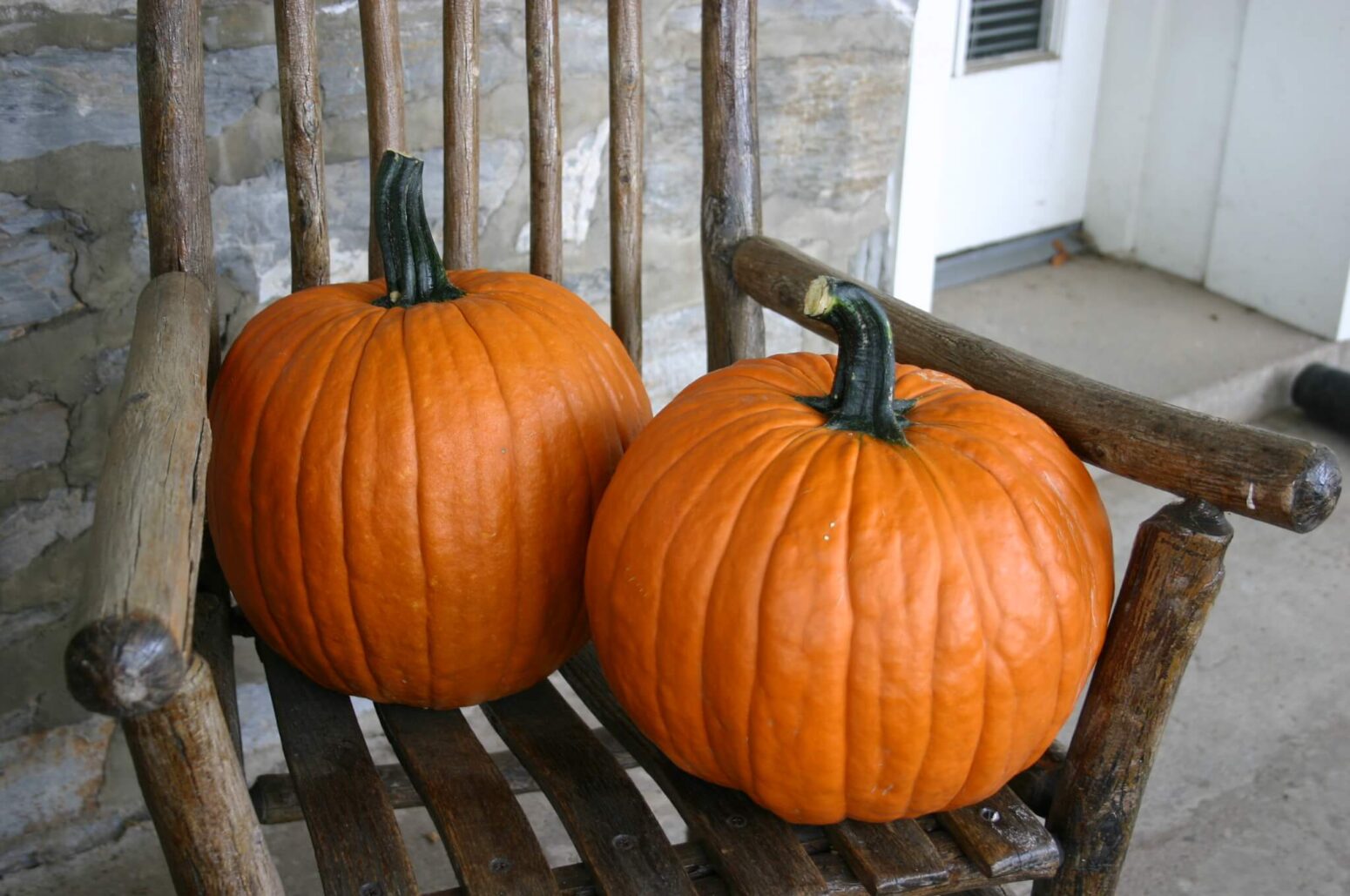 Magic Wand Pumpkin (Farmore) | Seedway