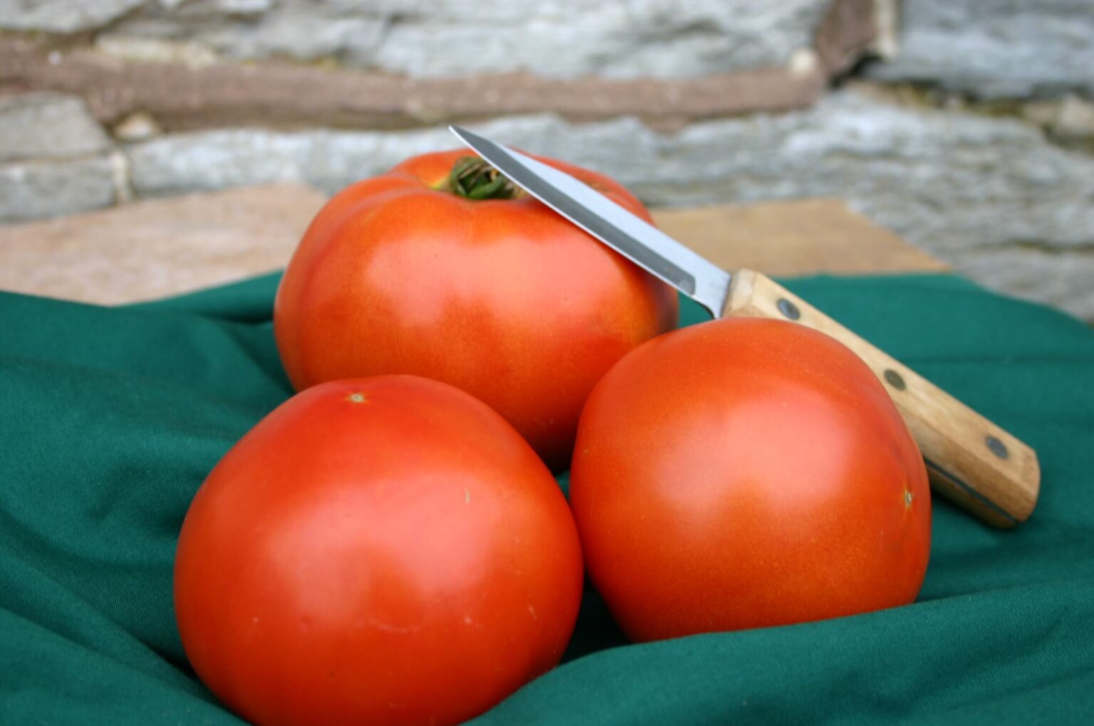 Mountain Fresh Plus Tomato (Pelleted) | Seedway