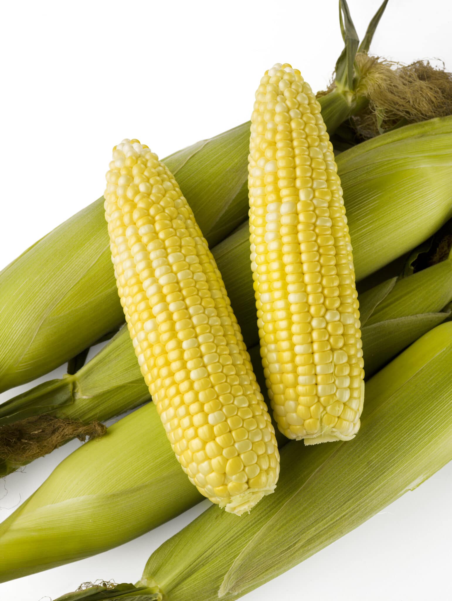 Obsession II Sweet Corn (Performance Series) (Cruiser Treated) | Seedway