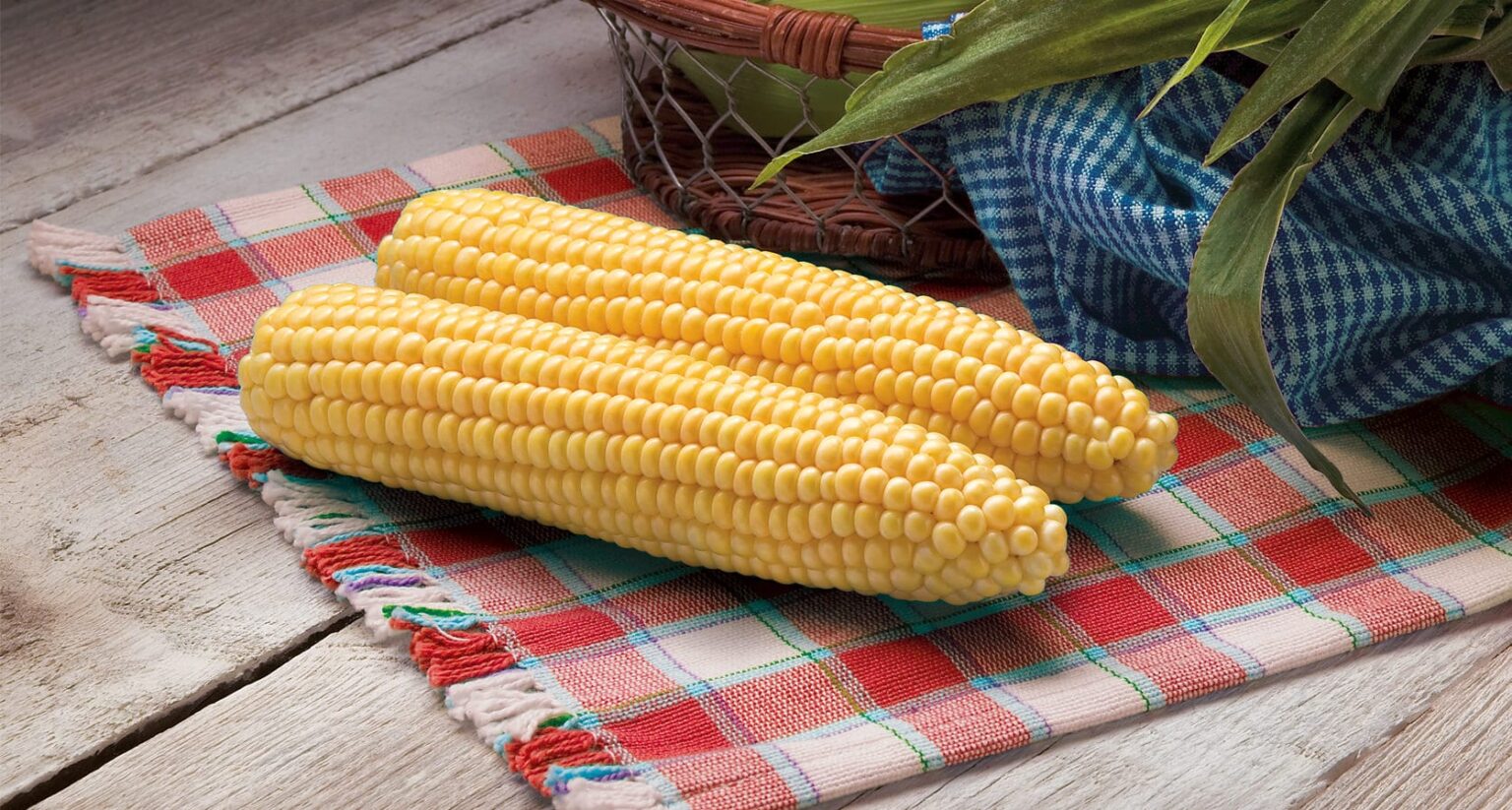 Protector Sweet Corn (Attribute II) (Cruiser Treated) | Seedway