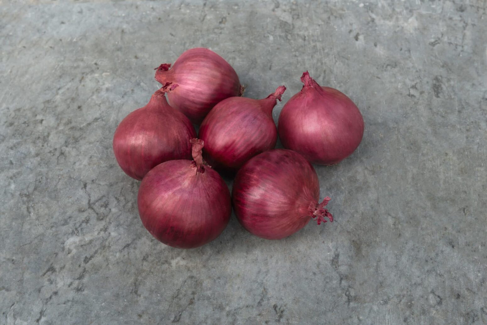 Red Hawk Onion (Pelleted) | Seedway