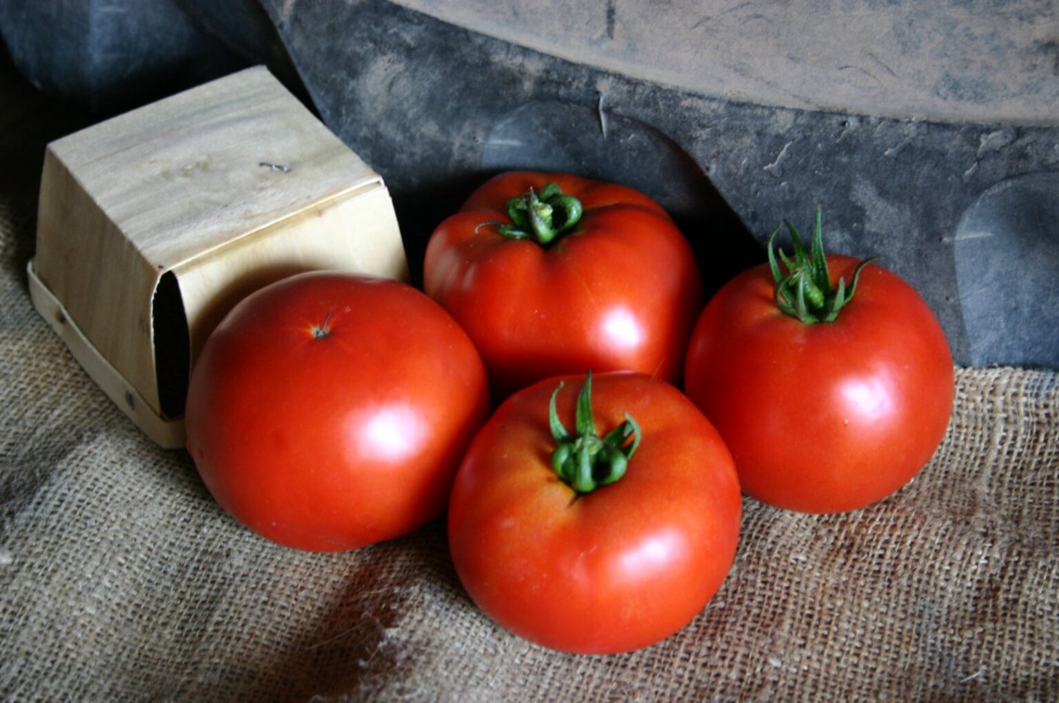 Red Deuce Tomato (Not Treated) | Seedway