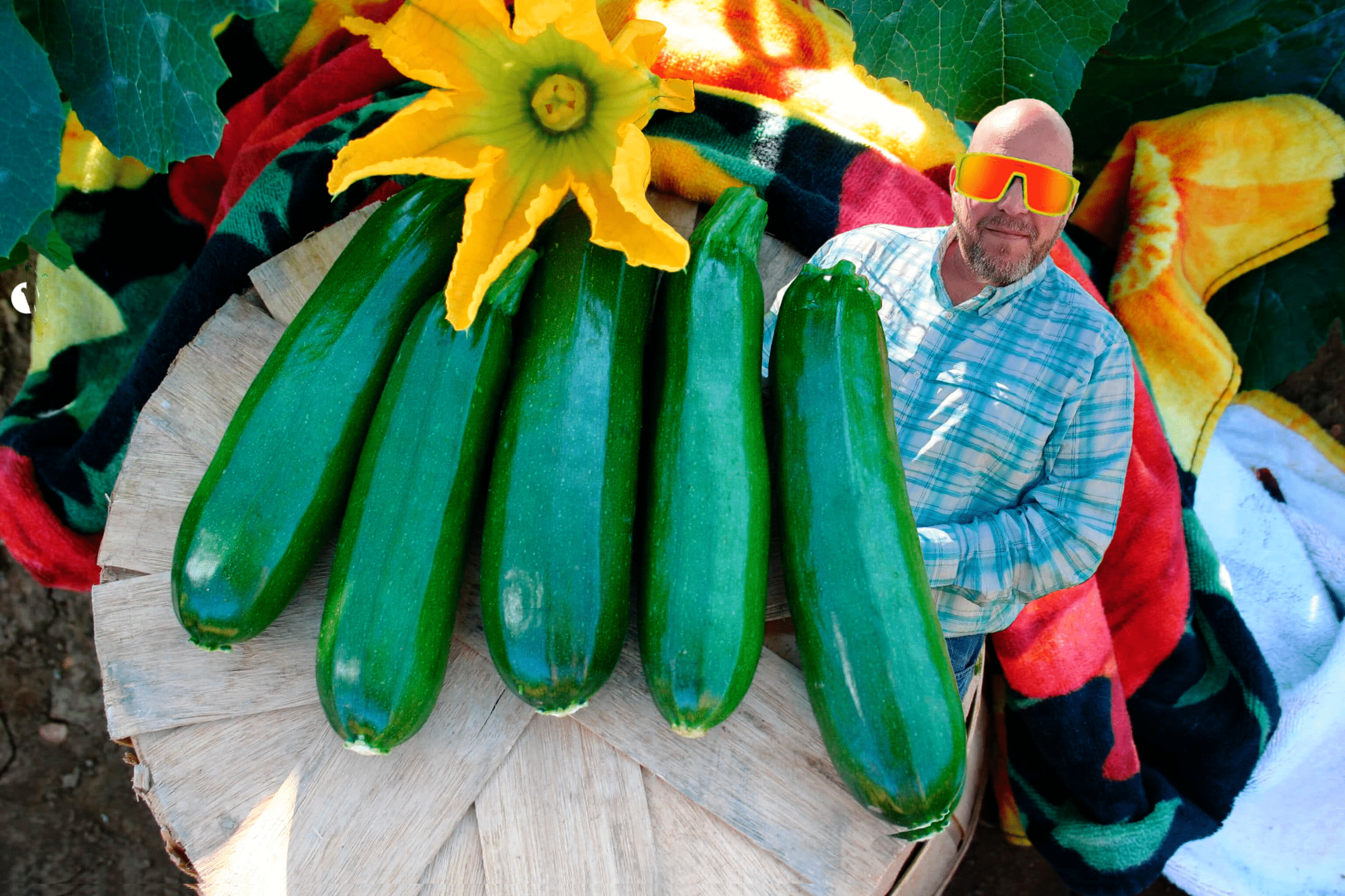 Spineless Perfection Zucchini (Farmore) | Seedway