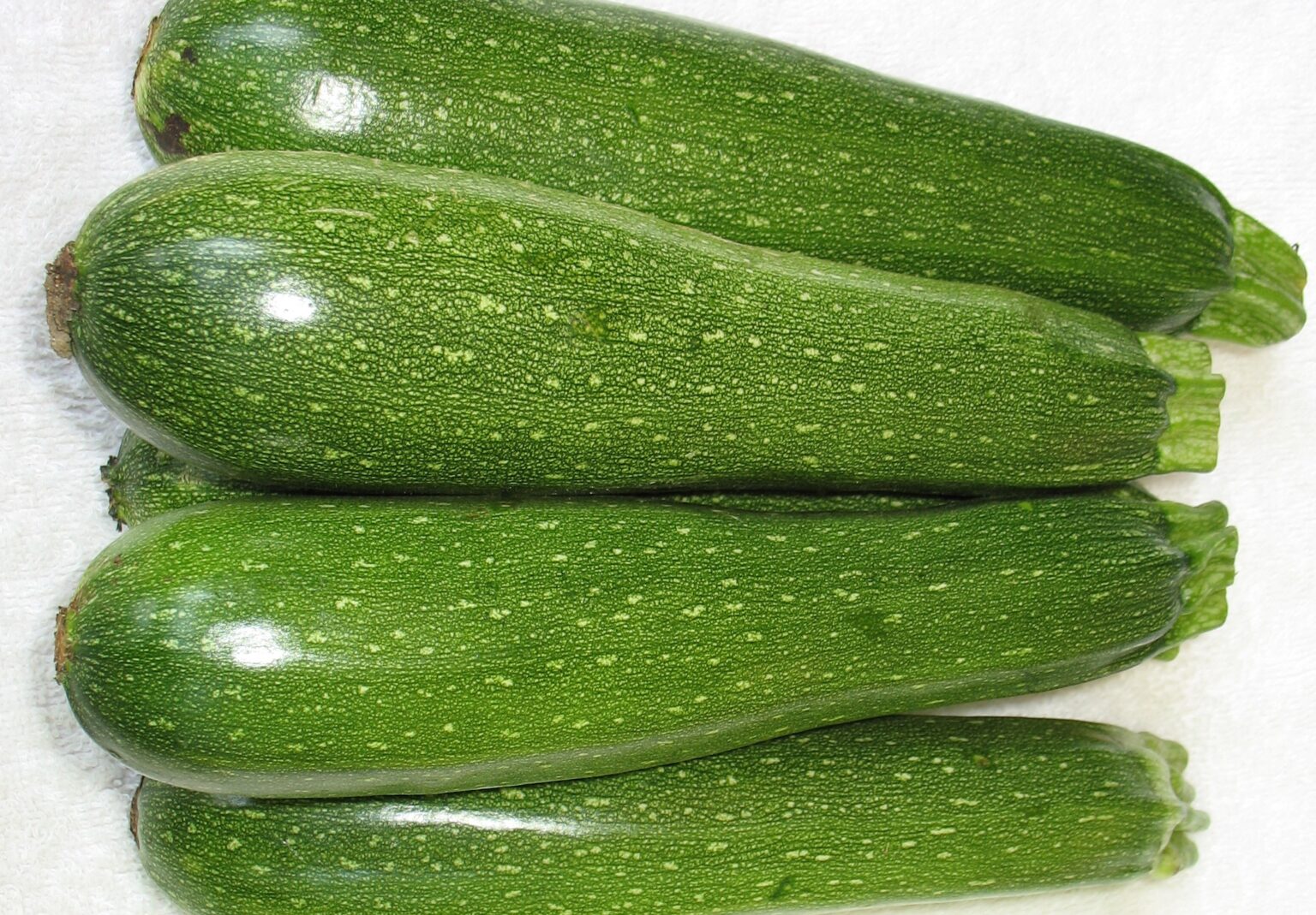 Spineless King Zucchini (Farmore) | Seedway