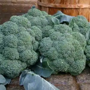 Imperial Broccoli (Treated Seed) | Seedway