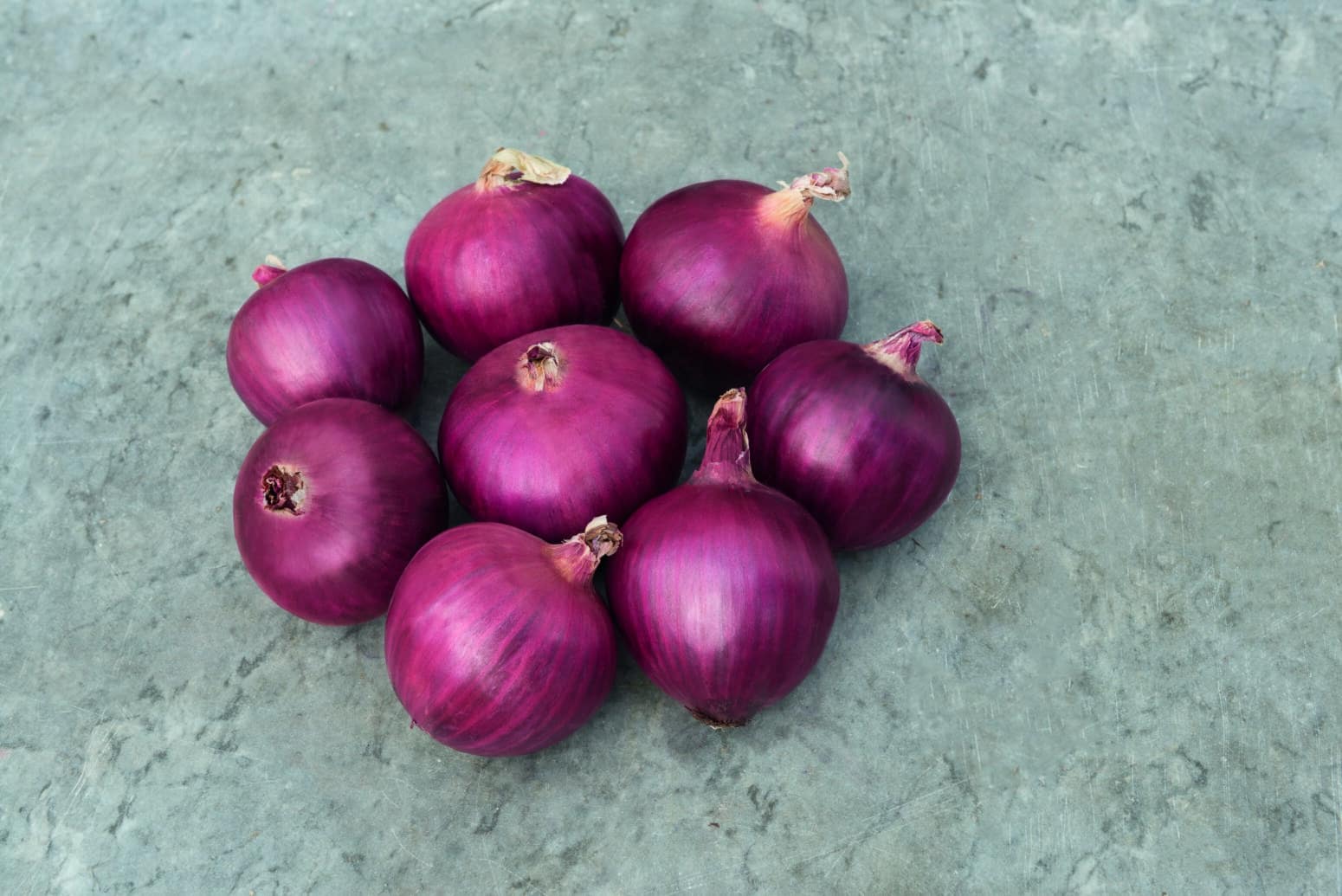 Red Bull Onion (Not Treated) | Seedway