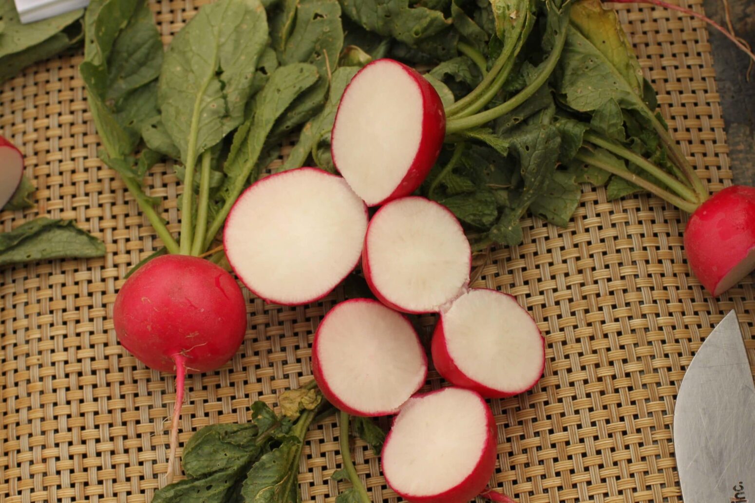 Rochas Radish (Treated Seed) | Seedway