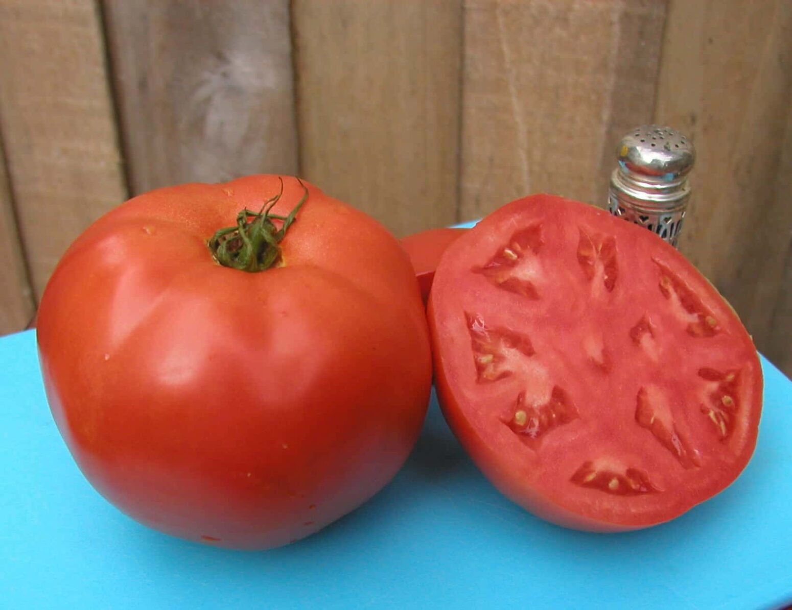 Scarlet Red Tomato (Pelleted) | Seedway