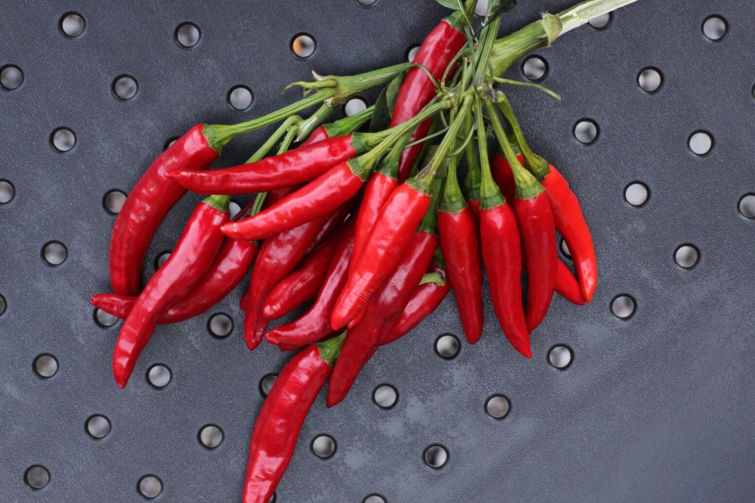 High Fly 2 Hot Pepper (Thai Chili) (Treated Seed) | Seedway