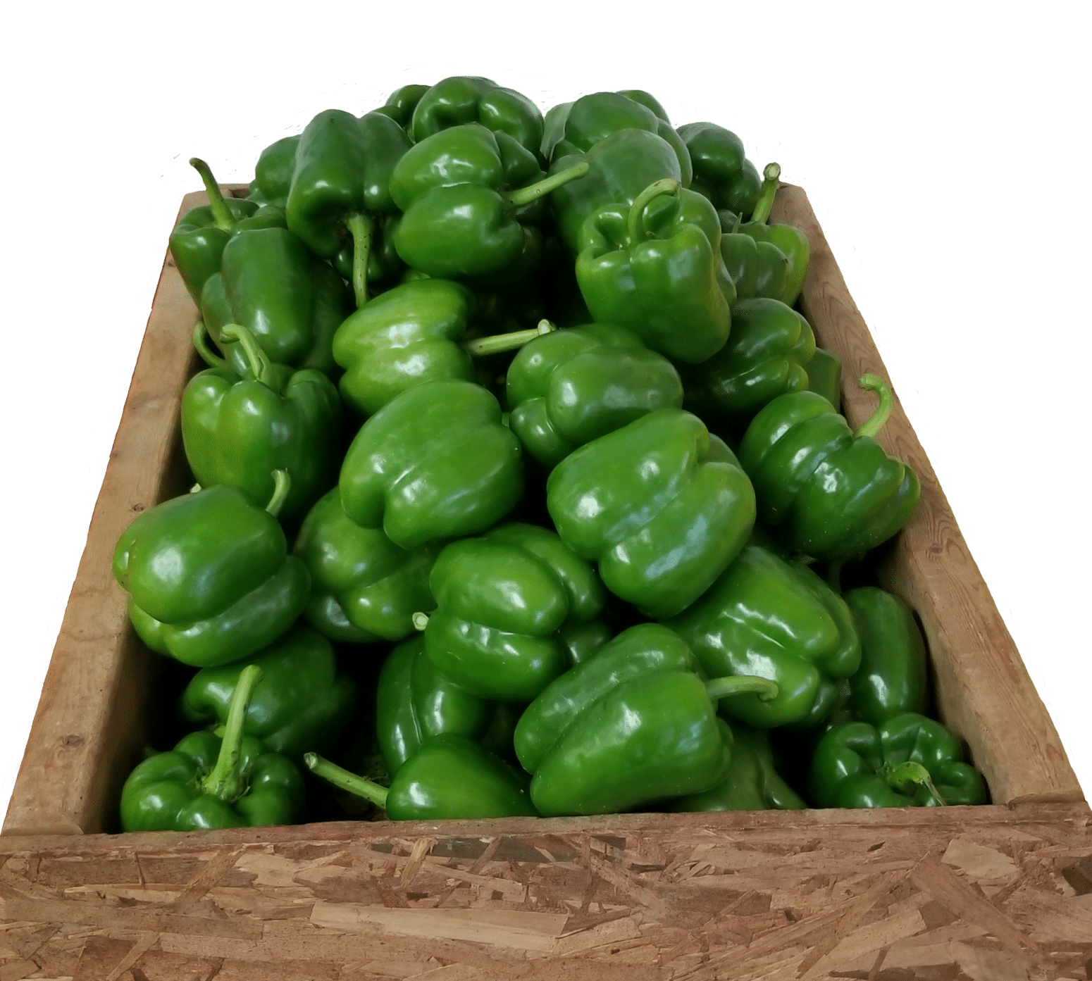 Boca Bell Pepper (Primed Seed) | Seedway