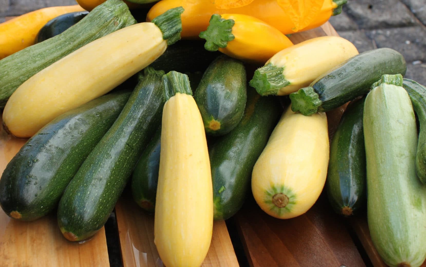 Category: Squash Yellow Zucchini | Seedway