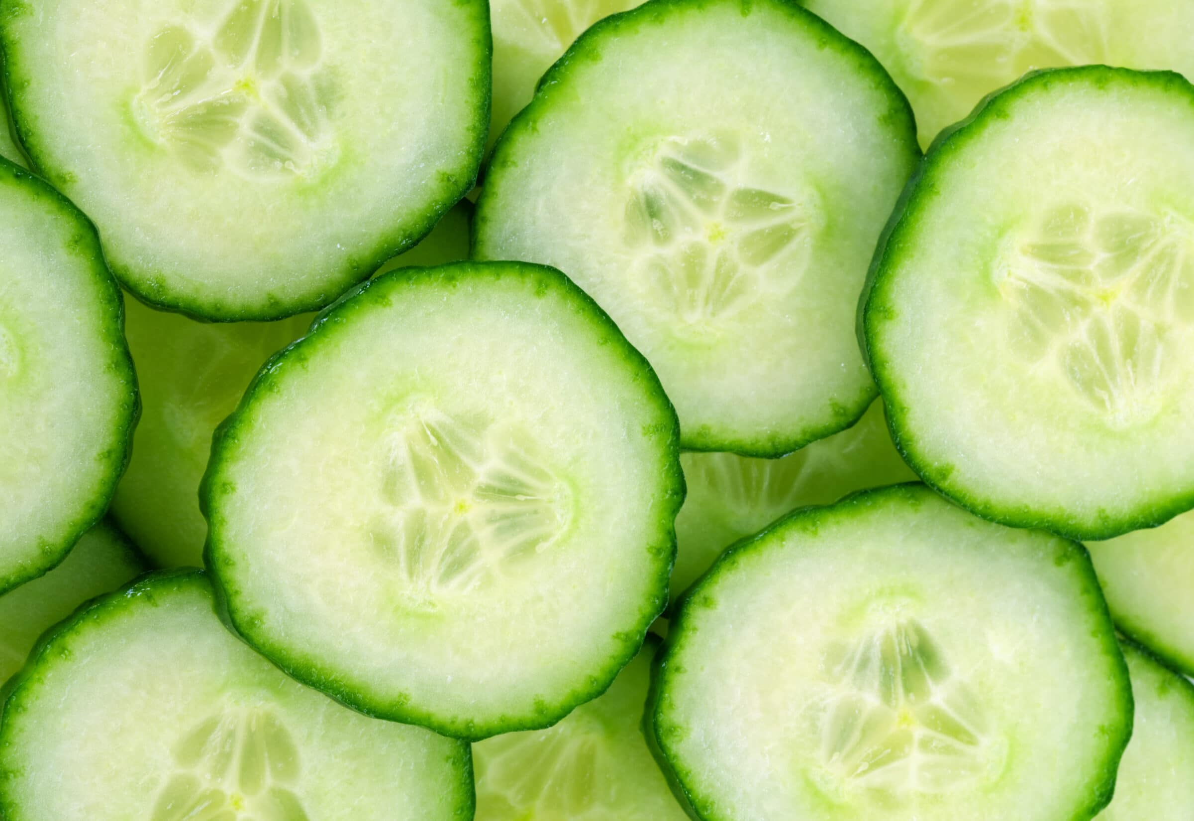 Category: Cucumber Seeds | Seedway