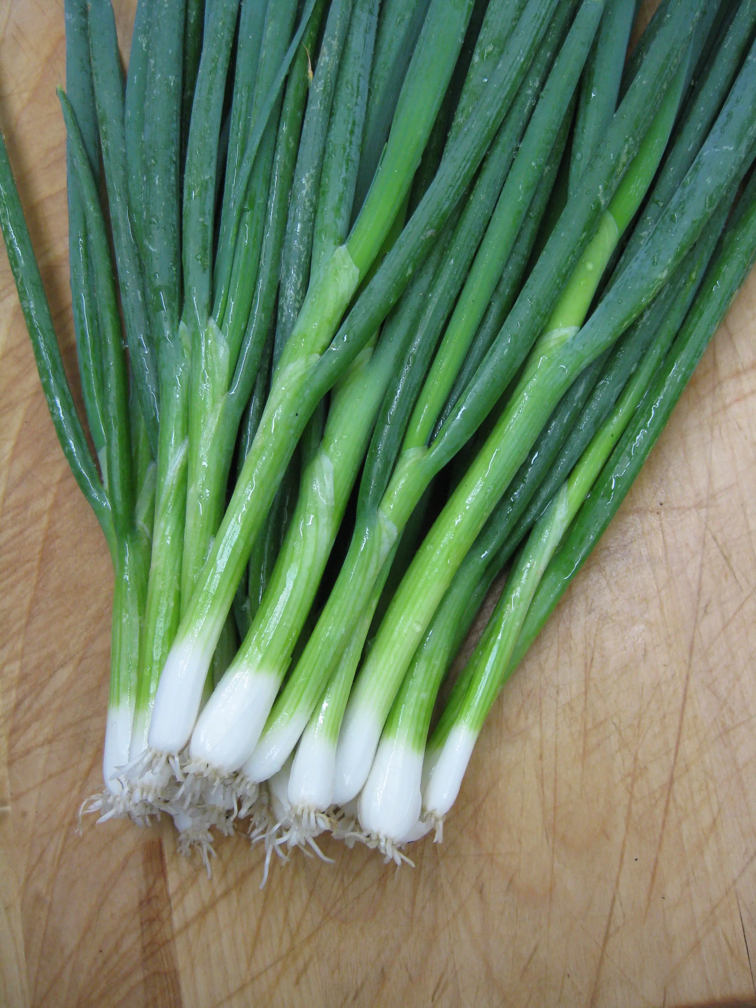 Category: Bunching | Seedway