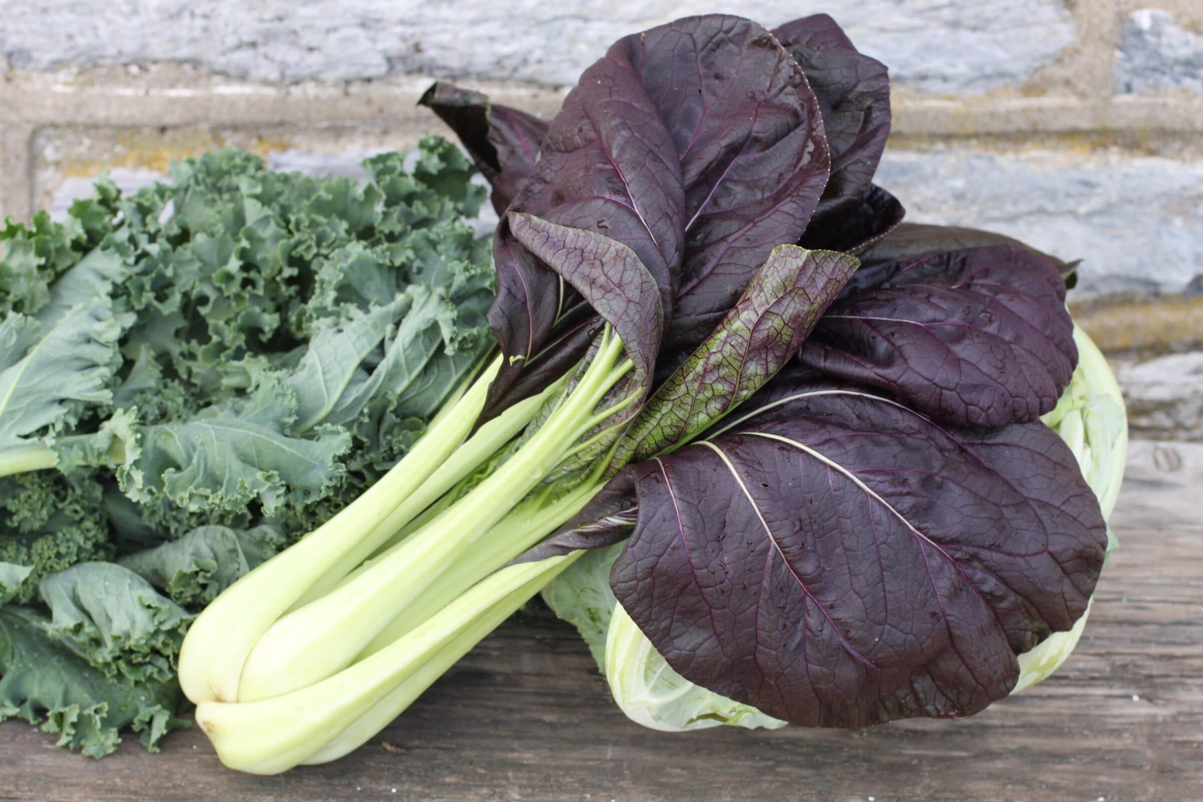 Category: Asian Greens | Seedway