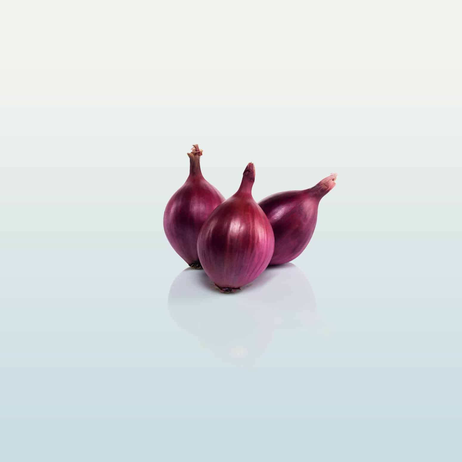 Red Spring Onion (Treated Seed) | Seedway