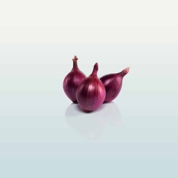 Red Spring Onion (Treated Seed) | Seedway