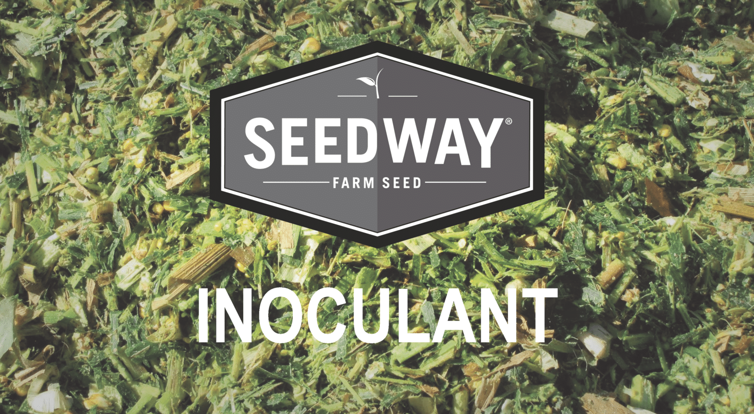 SiloSolve® AS (Aerobic Stability) | Seedway