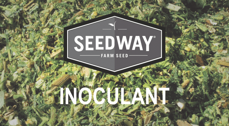 SiloSolve® FC (Fungal Control) | Seedway