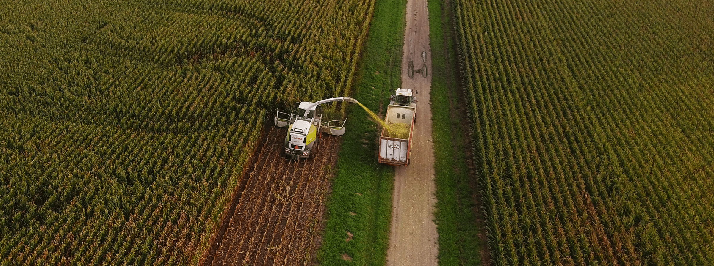 Category: Inoculants | Seedway