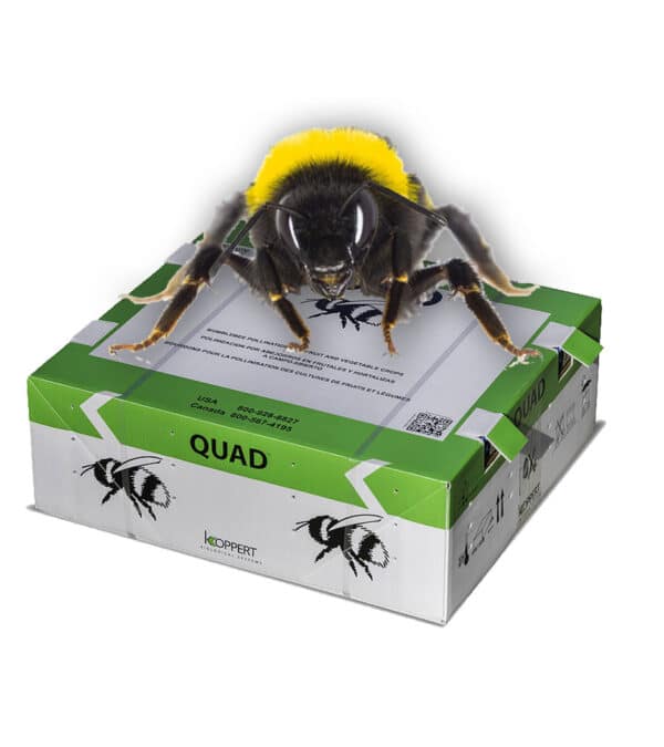 SowLogic Quad Pollinators | Seedway