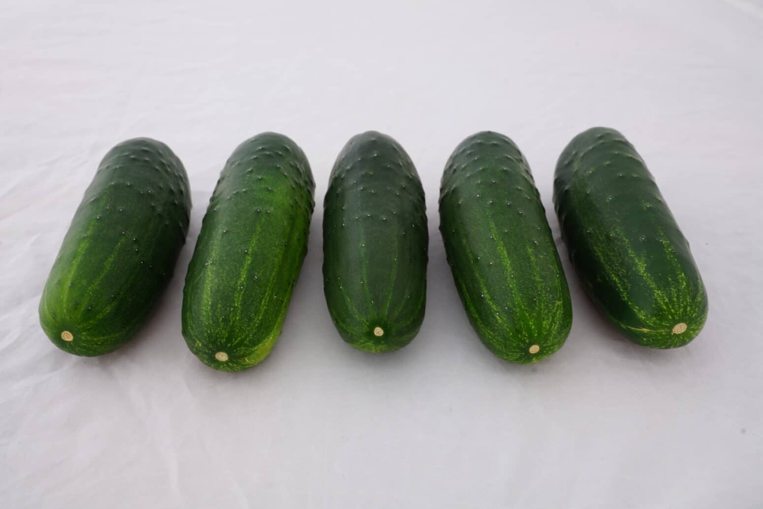 Super Max Cucumber (Farmore Treated) | Seedway