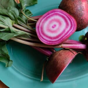 Anello Beet (Treated Seed) | Seedway