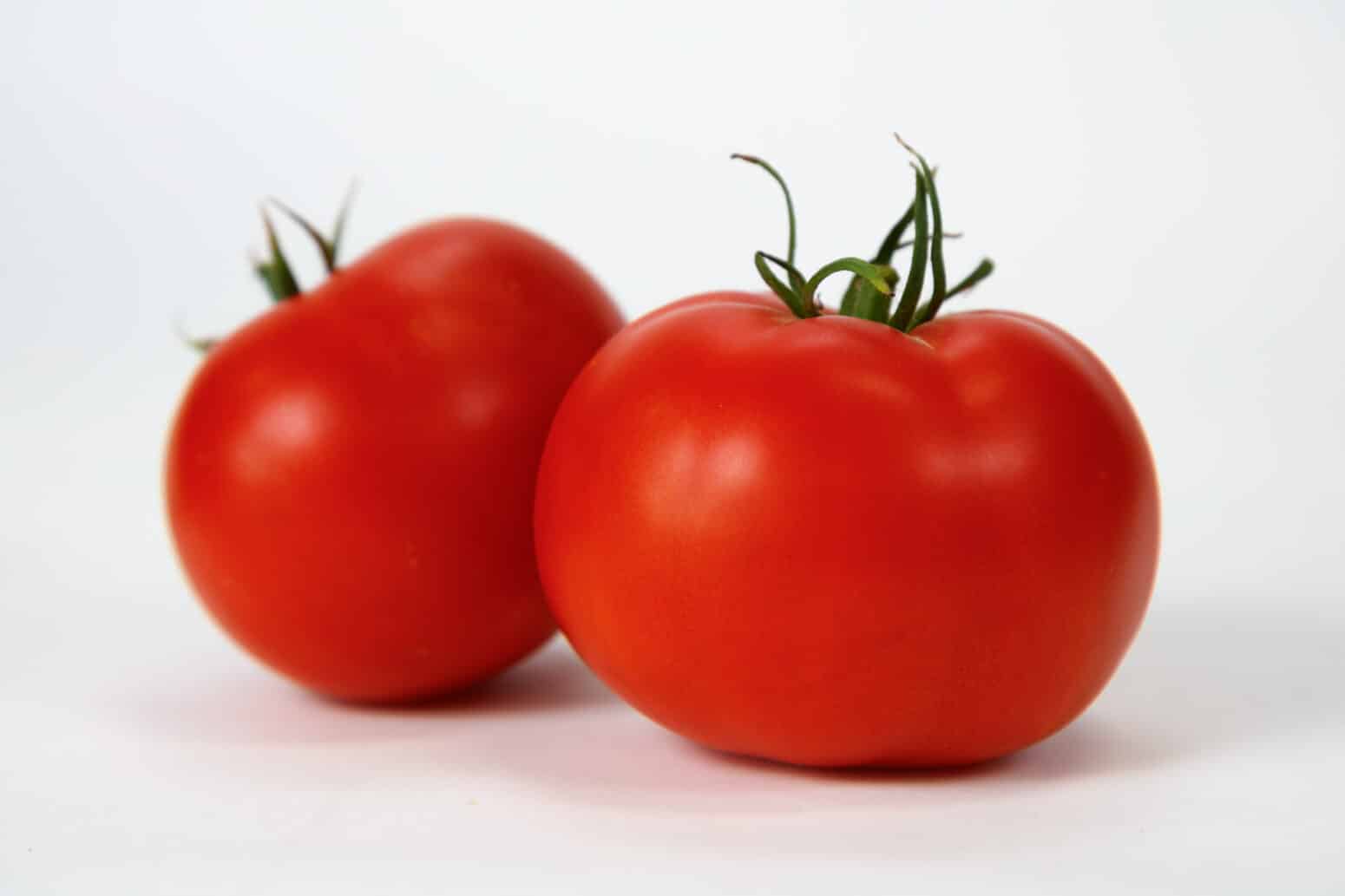 Rubee Prize Tomato (Treated Seed) | Seedway