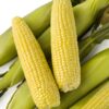 Passion ll Sweet Corn (Performance Series) (Cruiser Treated) | Seedway
