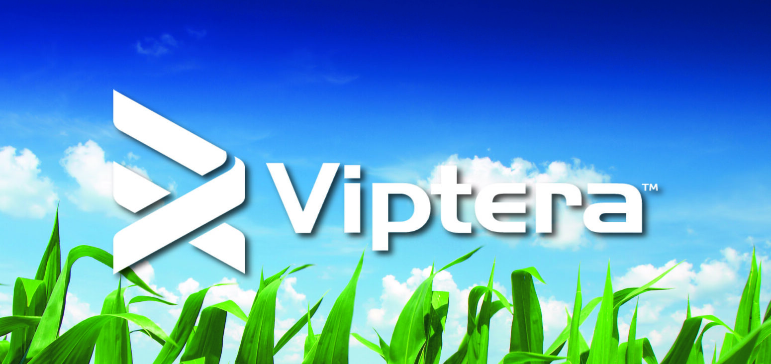 SW 9595V (E-Z) | Seedway