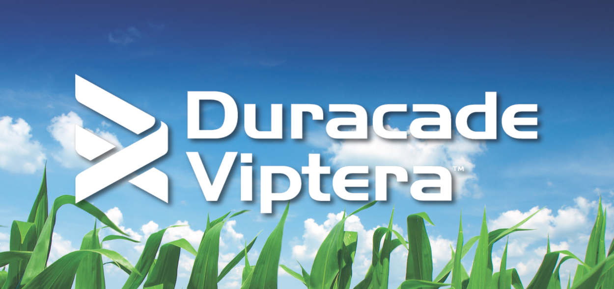 SW 9199DV (E-Z) | Seedway