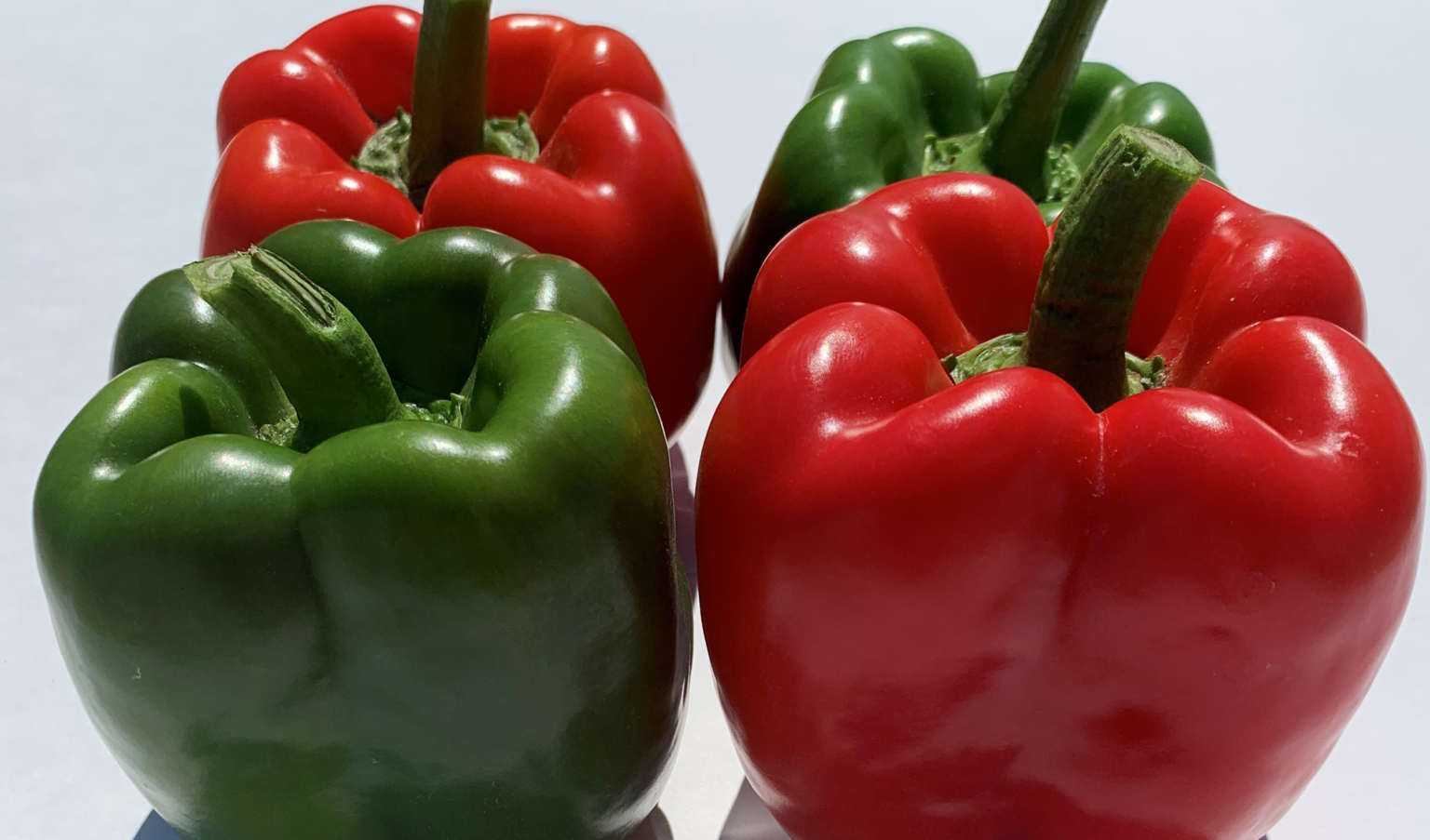 Redfish Pepper (Treated Seed) | Seedway