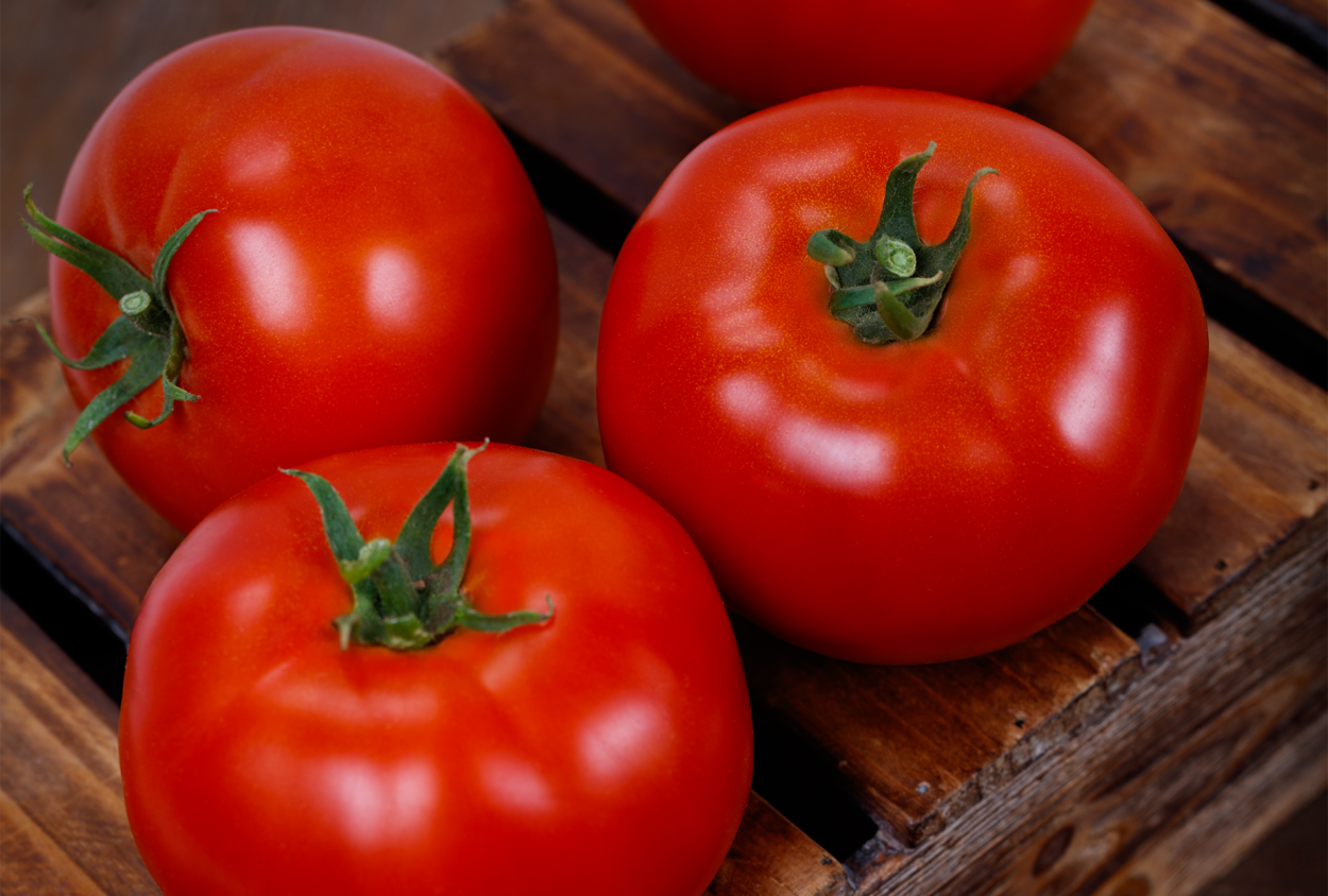 Firebird Tomato (Pelleted) | Seedway