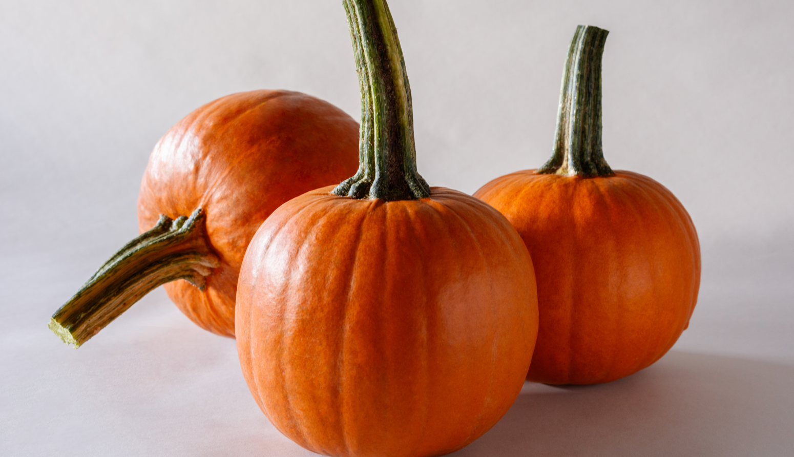 Rugrat Pumpkin (Farmore FI400) | Seedway