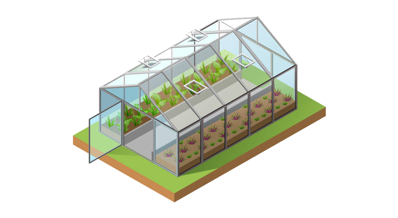 CEA Structure Types | Seedway