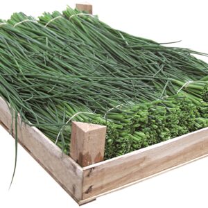 Polyvert Chives (Not Treated) | Seedway