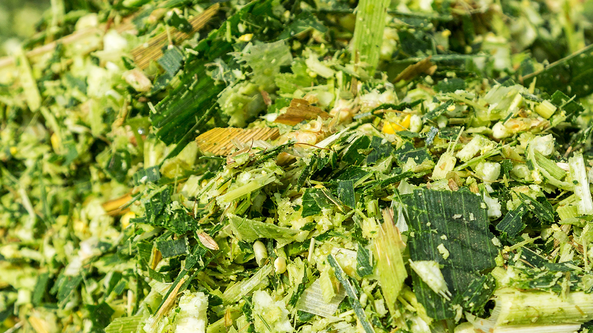 2026 Silage Resource Guide | Seedway